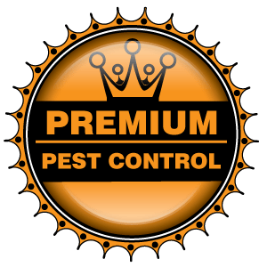 SWAT WASP & HORNET KILLER (14 OZ)